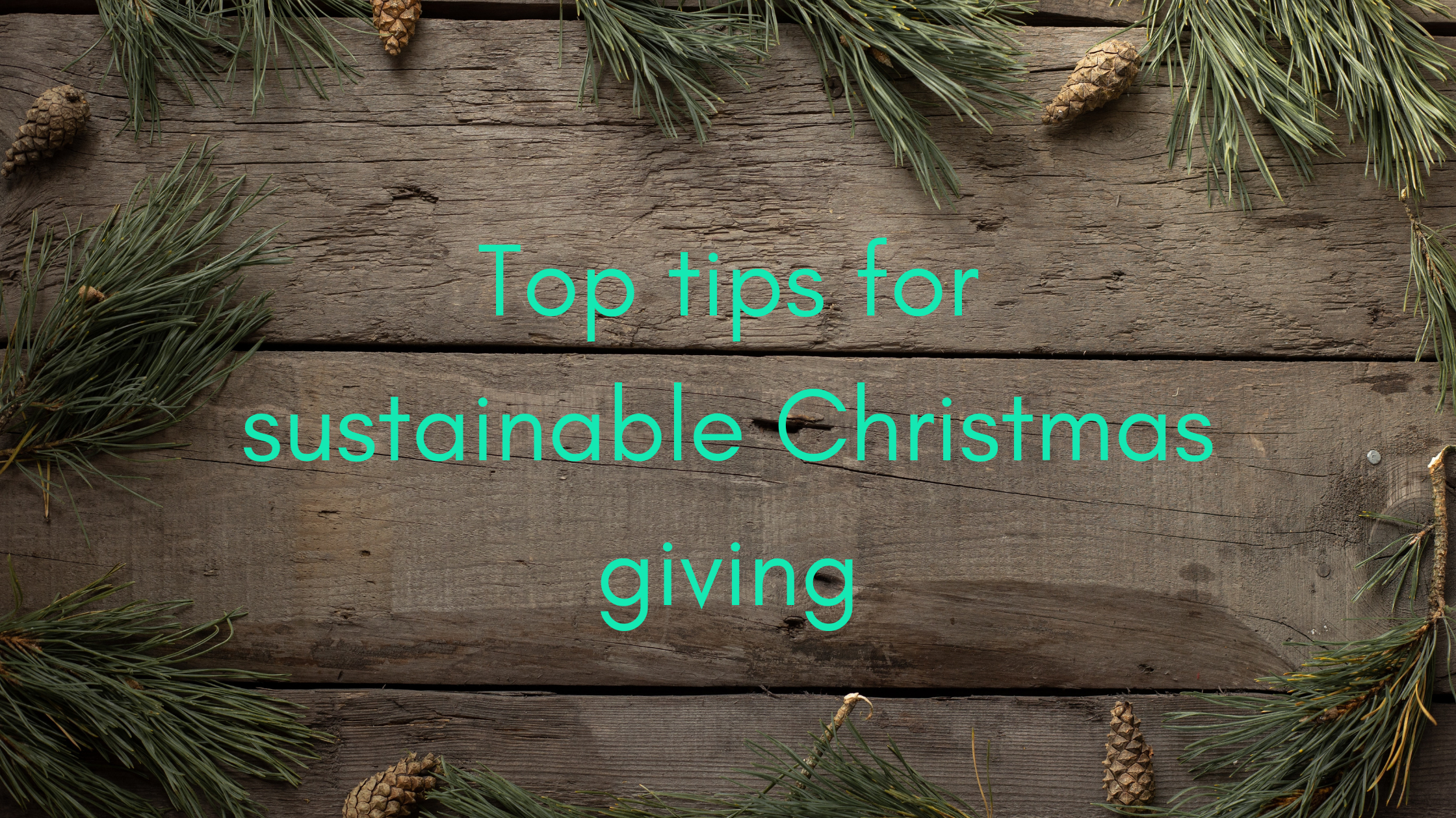 Top tips for sustainable Christmas giving – The Green Turtle